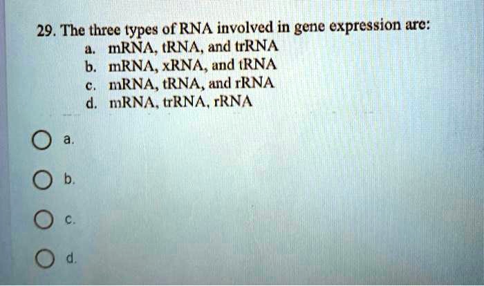 SOLVED: The three types of RNA involved in gene expression are: mRNA ...