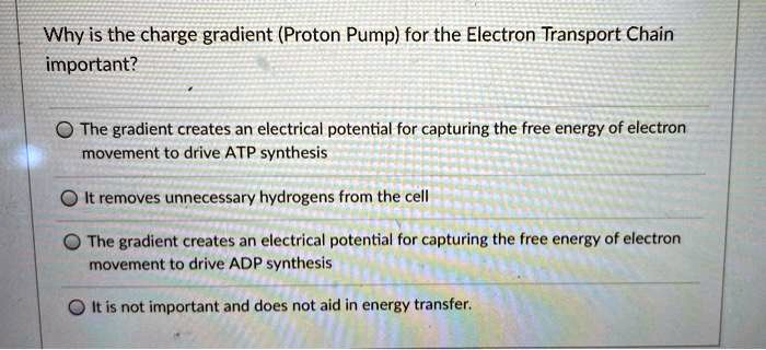 SOLVED:Why is the charge gradient (Proton Pump) for the Electron ...