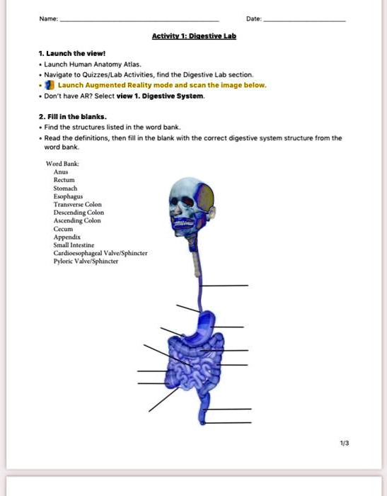 Name: Date: Activity 1: Digestive Lab 1. Launch the view! Launch Human ...