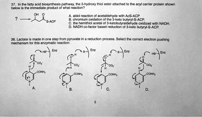 in the fatty acid biosynthesis pathway the 3 hydroxy thiol ester ...