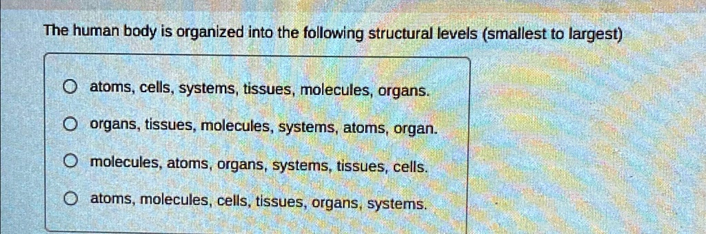 the human body is organized into the following structural levels ...