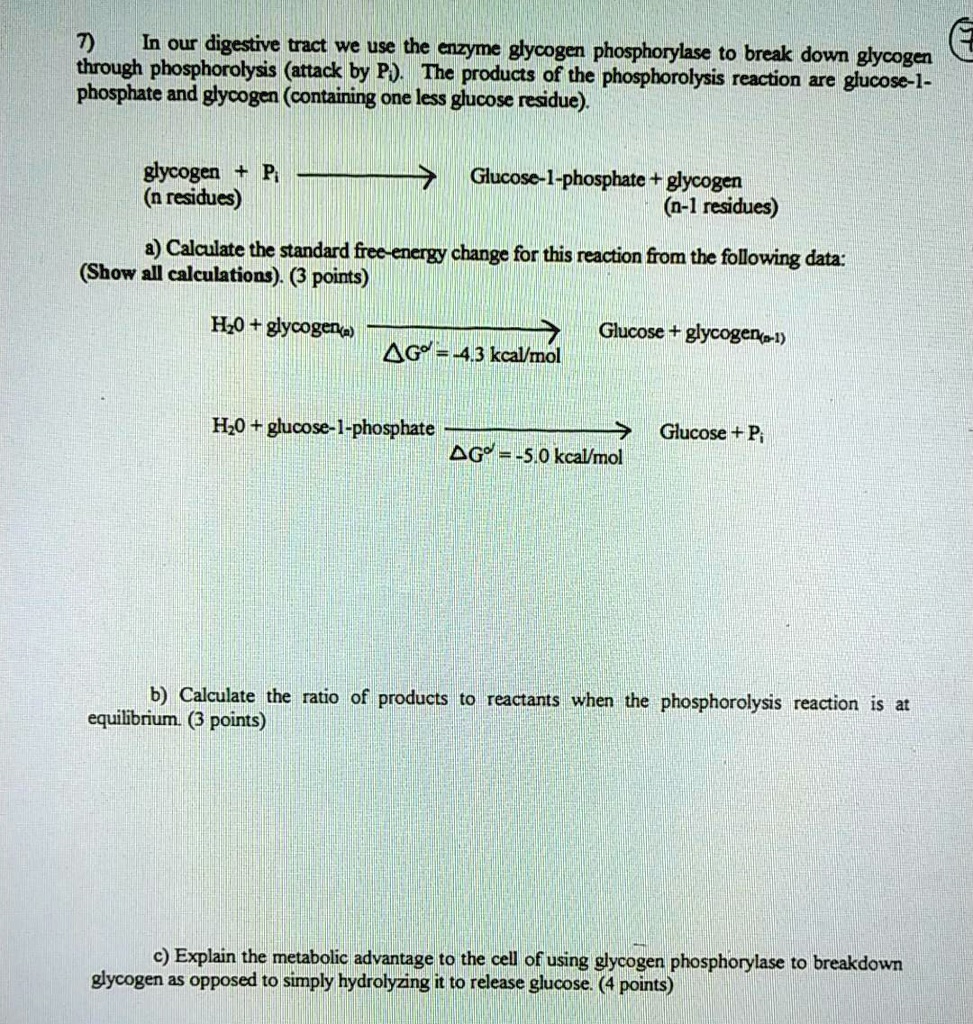 SOLVED: 7) In our digestive tact we use the Szyme glycogen ...