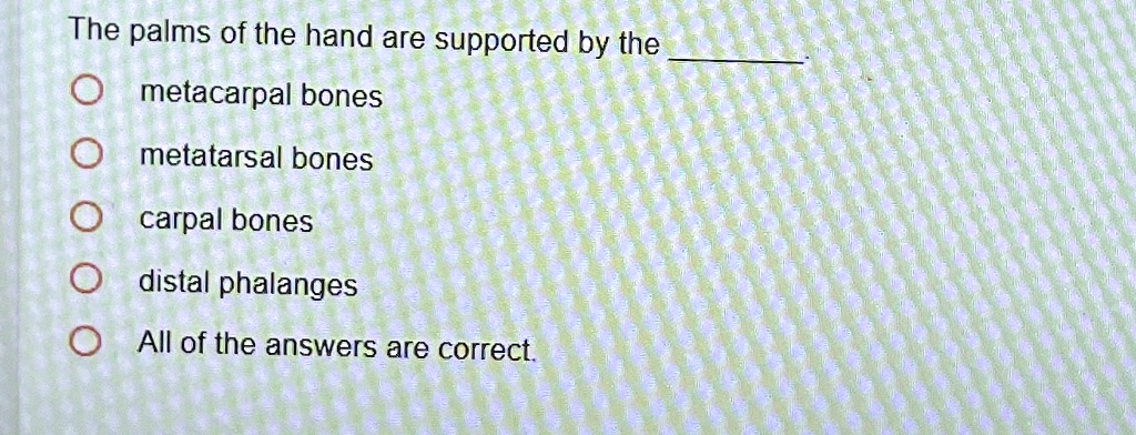 the palms of the hand are supported by the metacarpal bones metatarsal ...