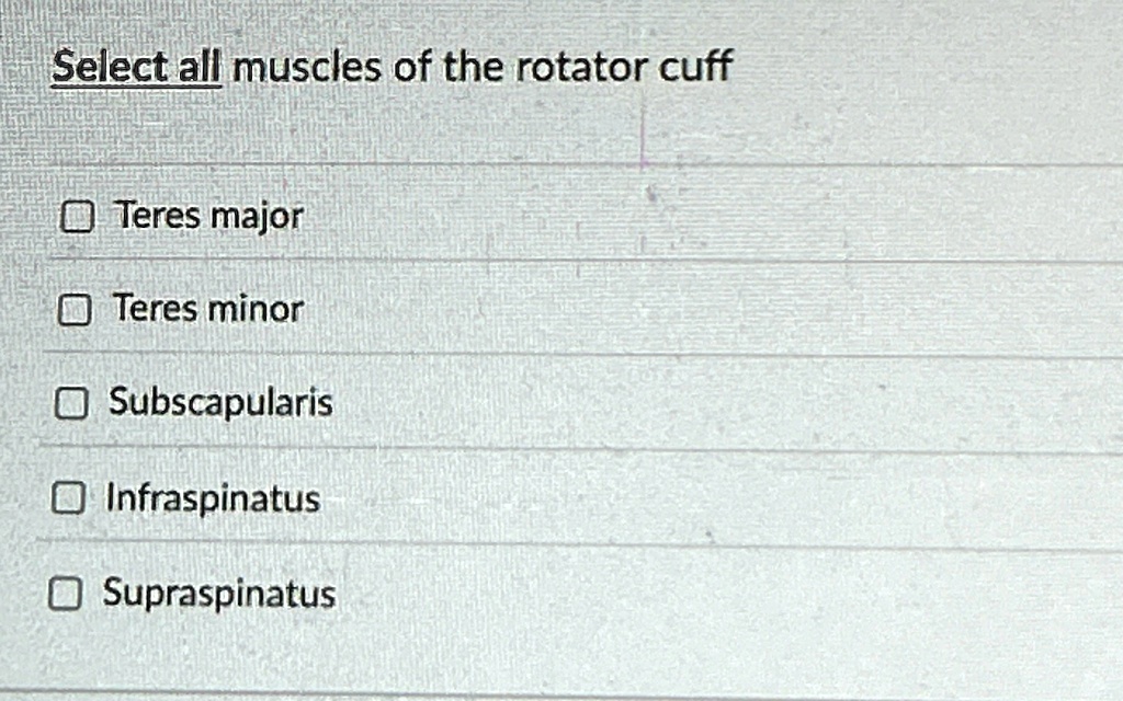 select all muscles of the rotator cuff teres major teres minor ...