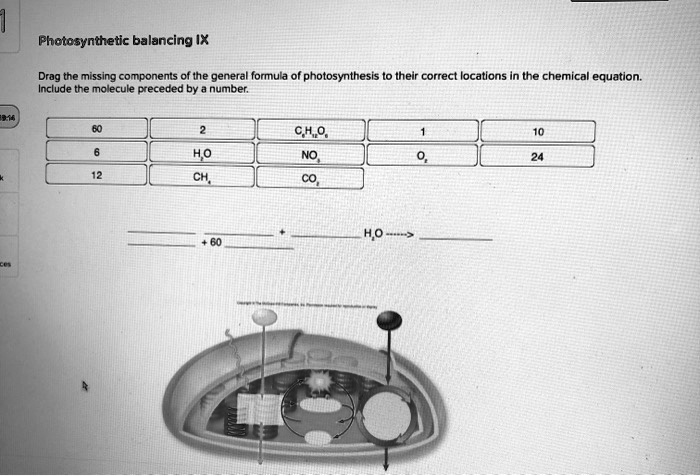 SOLVED: Photosynthetic balancing IX Drag the missing components of the ... SOLVED: Photosynthetic balancing IX Drag the missing components of the ...