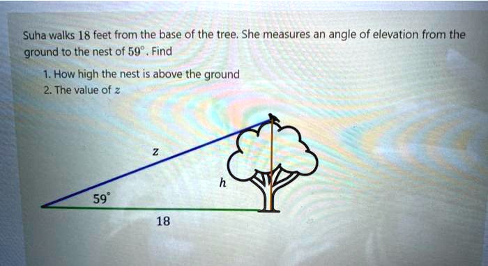 SOLVED: Suha walks 18 feet from the base of the tree: She measures an ...