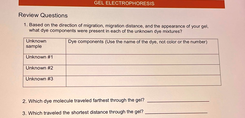 GEL ELECTROPHORESIS Review Questions 1. Based on the direction of ...