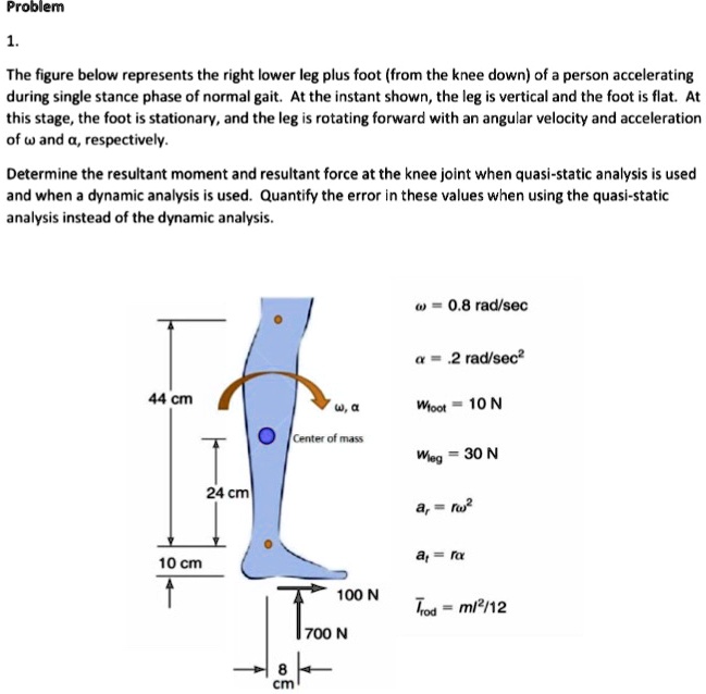 Problem 1. The figure below represents the right lower leg plus foot ...