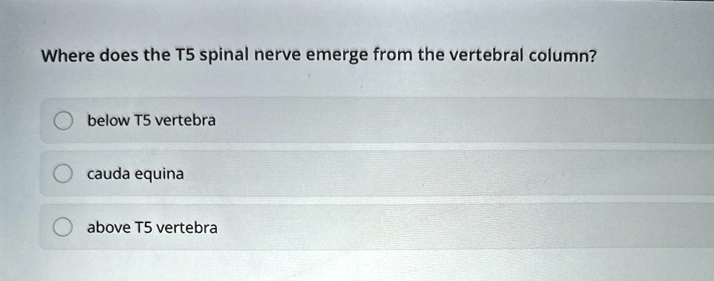 Where does the T5 spinal nerve emerge from the vertebral column? below ...