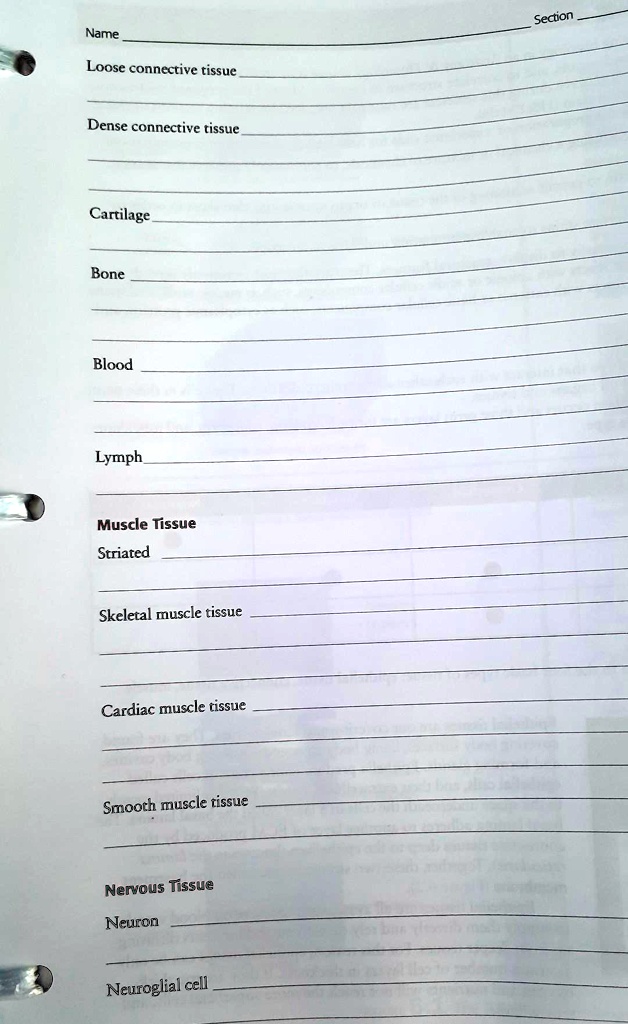 SOLVED: Name Loose connective tissue Dense connective tissue Blood ...