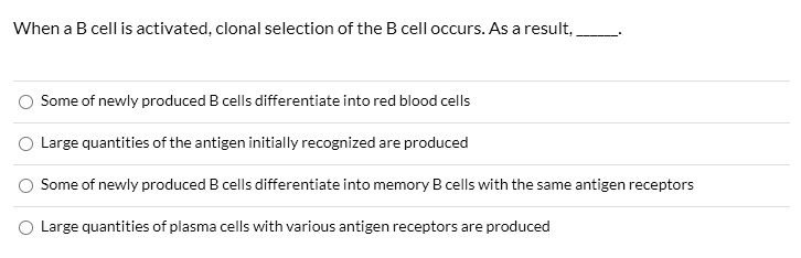 SOLVED:When a B cell is activated, clonal selection ofthe B cell occurs ...