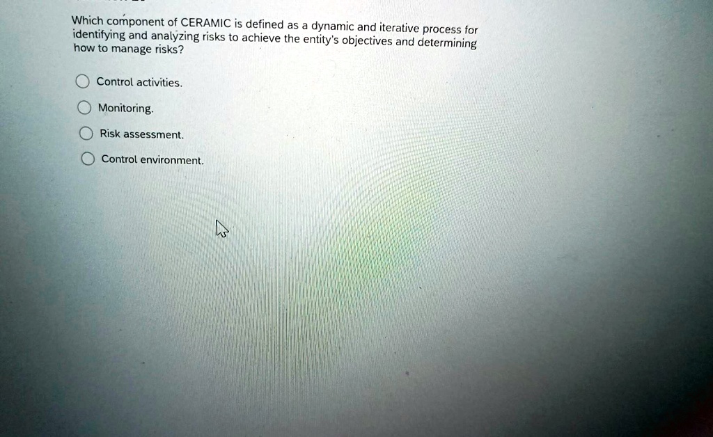 Which component of CERAMIC is defined as a dynamic and iterative ...