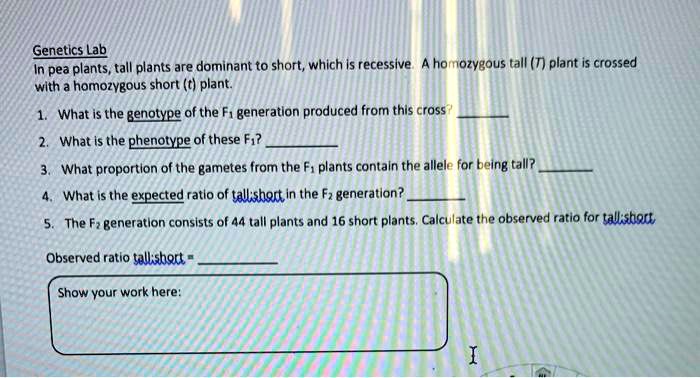 Genetics Lab In pea plants, tall plants are dominant to short, which is ...