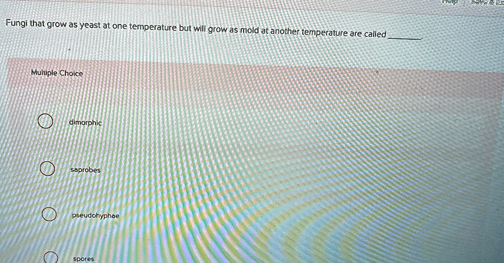 Fungi that grow as yeast at one temperature but will grow as mold at ...