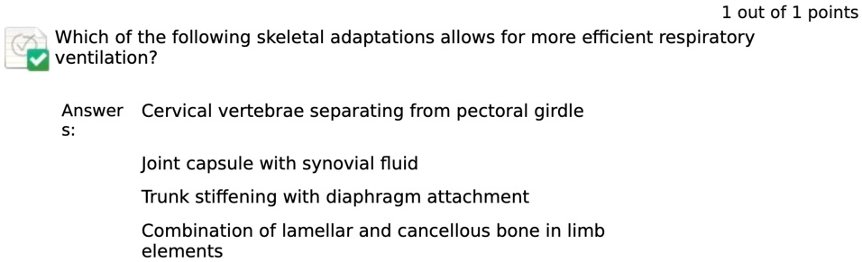 1 out of 1 points Which of the following skeletal adaptations allows ...