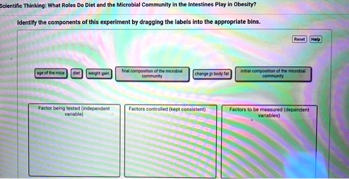 Identity the components of this experiment by dragging the labels into ...
