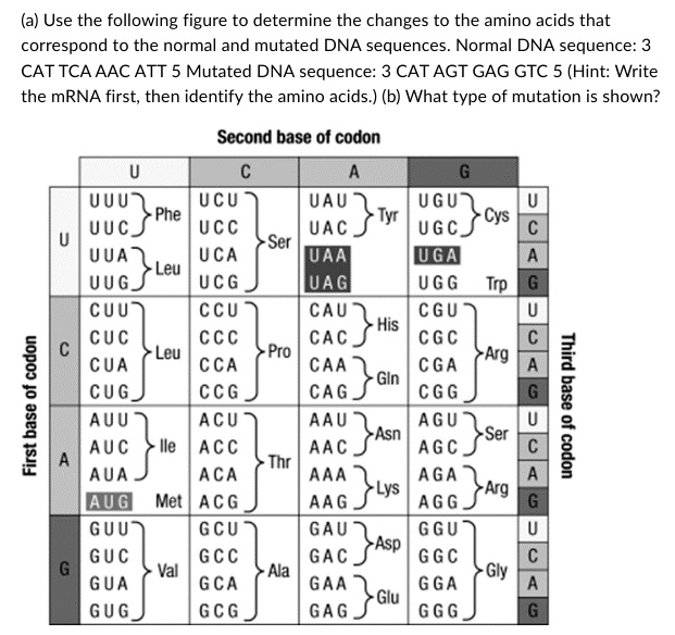 (a) Use the following figure to determine the changes to the amino acids that correspond to the ...