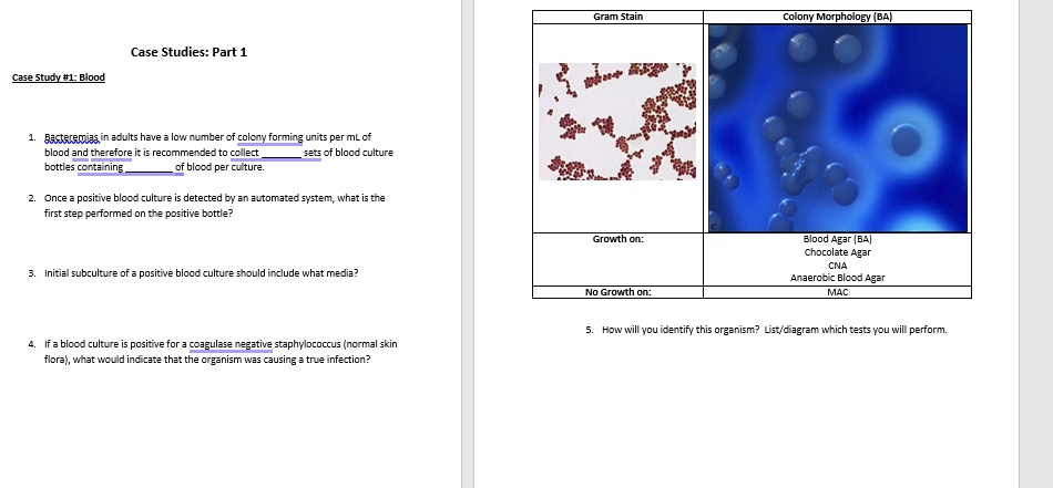 Case Studies: Part 1 Case Study #1: Blood 1. Bacteremias in adults have ...