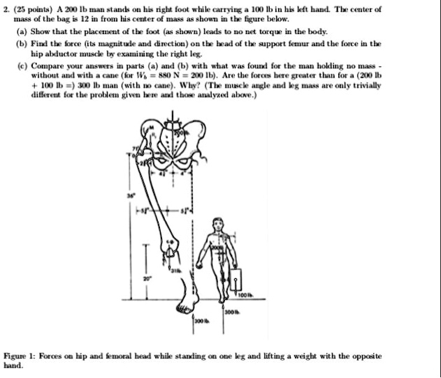 SOLVED: 2. (25 points A 200 lb man stands on his right foot while ...