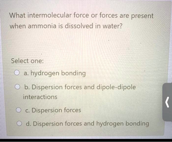 SOLVED: What intermolecular force or forces are present when ammonia is ...