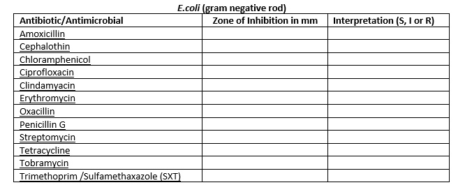 SOLVED: E. coli (gram-negative rod) Zone of Inhibition in mm Antibiotic ...