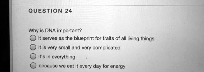 SOLVED: QUESTION 24 Why is DNA important? it serves as the blueprint ...