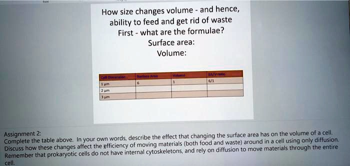 SOLVED: How size changes volume and hence_ ability to feed and get rid ...