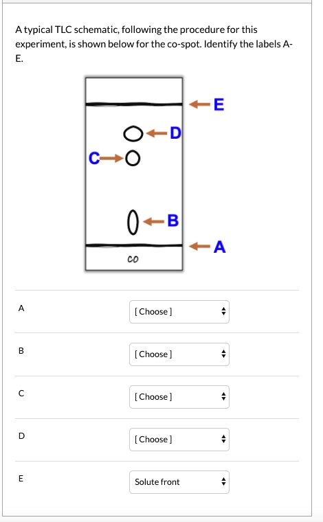 Solved Atypical Tlc Schematic Following The Procedure For This