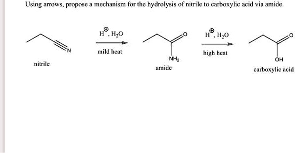 SOLVED: Using arrows, propose a mechanism for the hydrolysis of nitrile ...