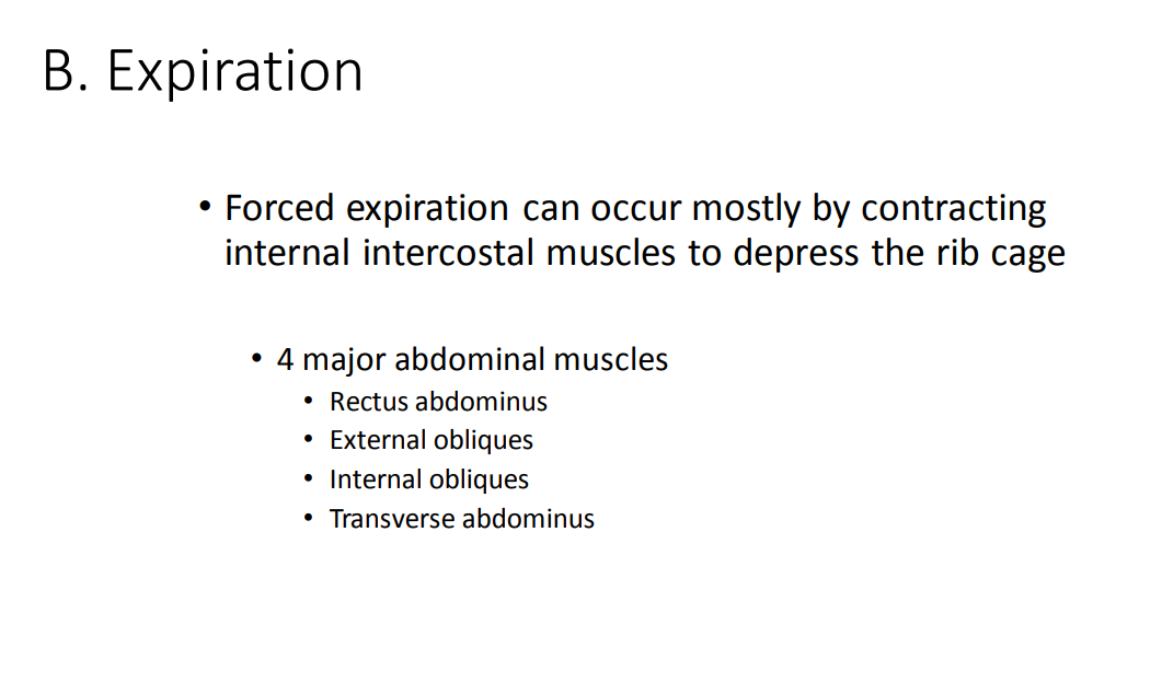 B. Expiration - Forced expiration can occur mostly by contracting ...