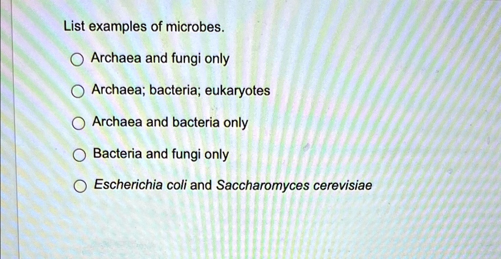 List examples of microbes. Archaea and fungi only Archaea; bacteria ...