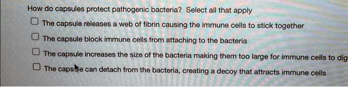 SOLVED: Text: How do capsules protect pathogenic bacteria? Select all ...