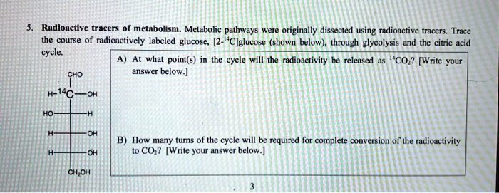 radioactive tracers of metabolism metabolic pathways wene originally ...