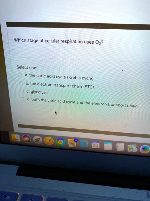 SOLVED: Which stage of cellular respiration uses 02? Select one: the ...