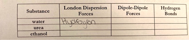 SOLVED: London Dispersion Forces Dipole-Dipole Forces Hydrogen Bonds ...