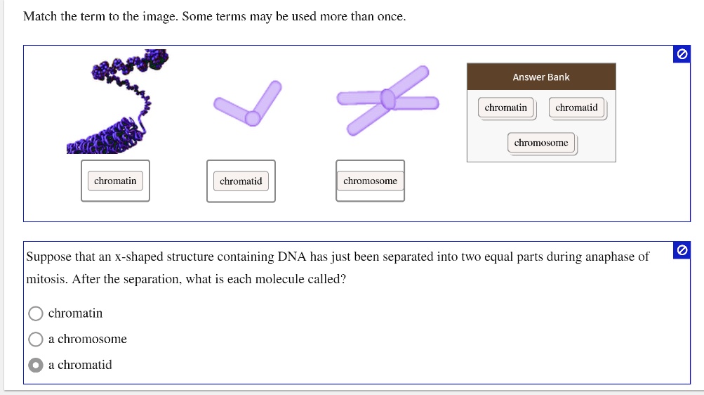 SOLVED: Match the term to the image. Some terms may be used more than ...