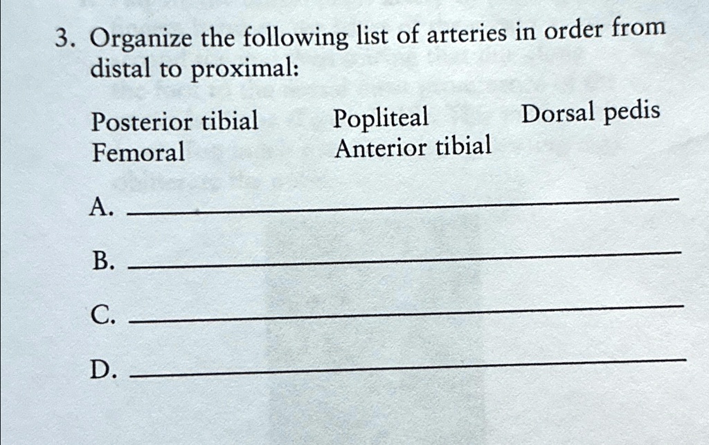 Organize the following list of arteries in order from distal to ...