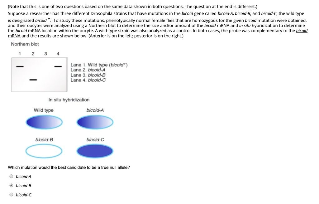 (Note that this is one of two questions based on the same data shown in ...
