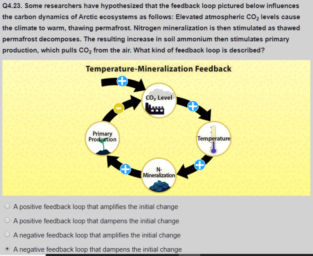 SOLVED: 04.23. Some researchers have hypothesized that the feedback ...