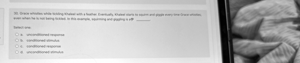 30. Grace whistles while tickling Khaleel with a feather. Eventually ...