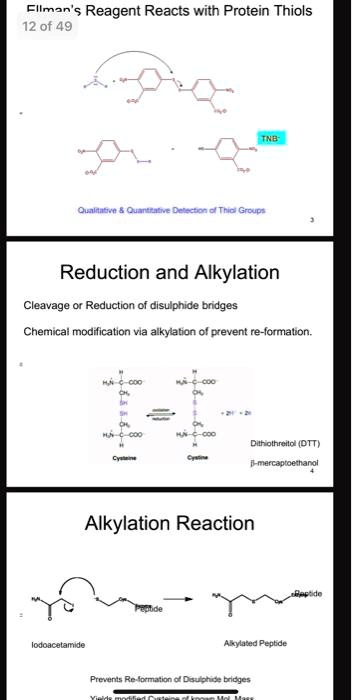 SOLVED: Fullman Reagent Reacts with Protein Thiols 12 of 49 Oulmnb ...