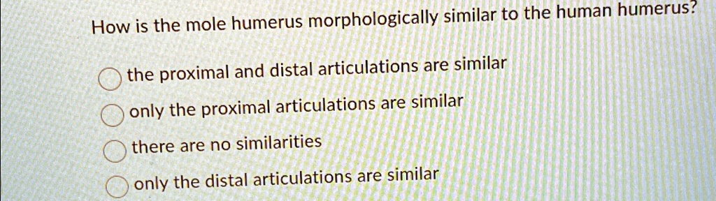 how is the mole humerus morphologically similar to the human humerus ...