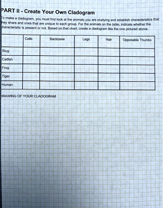 SOLVED: PART II - Create Your Own Cladogram To make a cladogram, you must first look at the ...