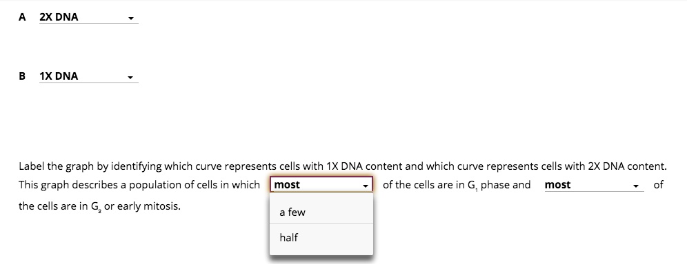 A 2X DNA B 1X DNA Label the graph by identifying which curve represents ...