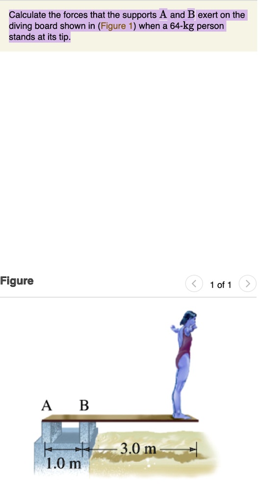 SOLVED: Calculate the forces that the supports A and B exert on the ...