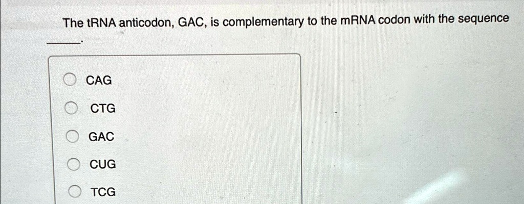 SOLVED: The tRNA anticodon, GAC, is complementary to the mRNA codon with the sequence CAG CTG ...