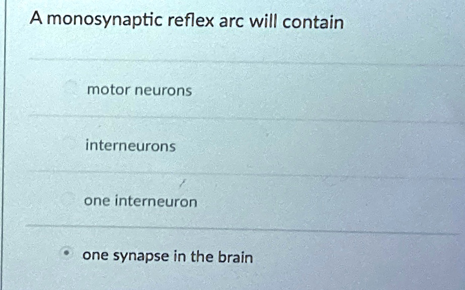 a monosynaptic reflex arc will contain motor neurons interneurons one ... a monosynaptic reflex arc will contain motor neurons interneurons one ...