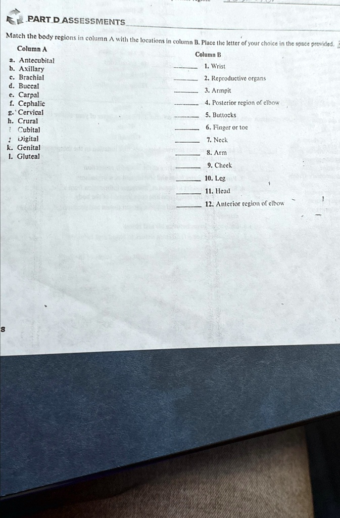 PART D ASSESSMENTS Match the body regions in column A with the ...