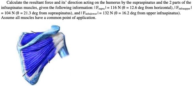 SOLVED: Calculate the resultant force and its direction acting on the ...