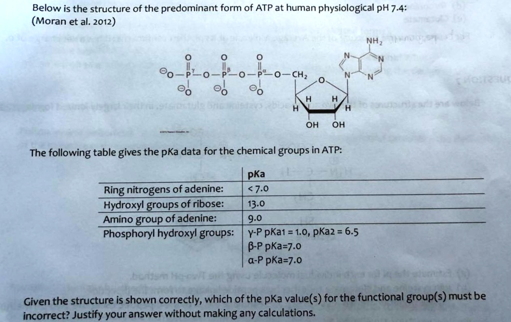below is the structure of the predominant form of atp at human ...